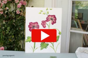 How to Paint a Poppy in Acrylics - Pamela Groppe Art - Acrylic Painting ...